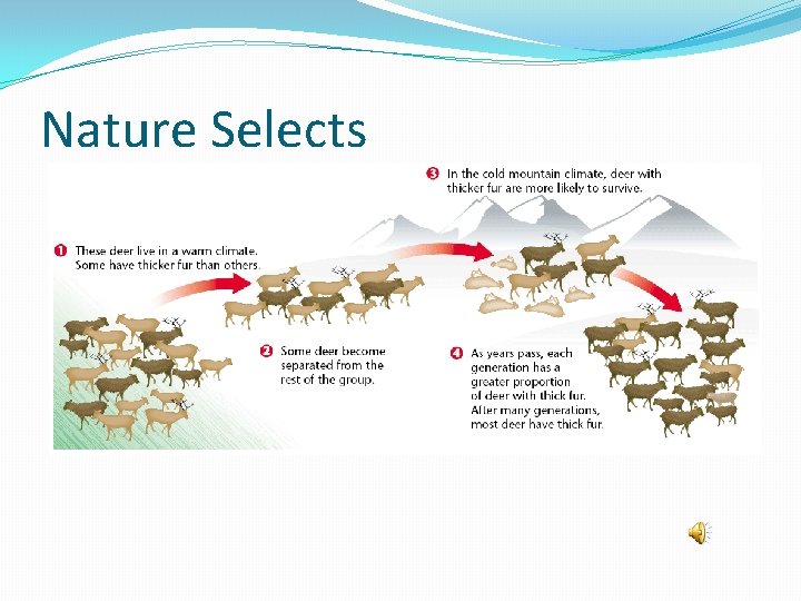 CHAPTER 4 ORGANIZATION OF LIFE 4 1 Ecosystems