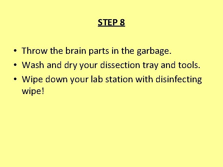 Brain Dissection How to perform a successful brain