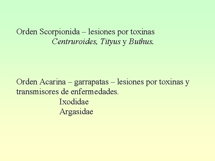 Phylum Arthropoda Morfologa externa Tipos de aparato bucal