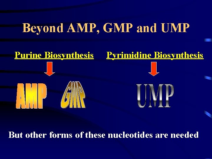 The Practical Side of Nucleotide Metabolism November 29