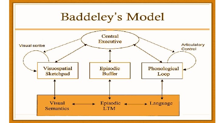 Cognitive Development in Middle Childhood Chapter 12 Felicia