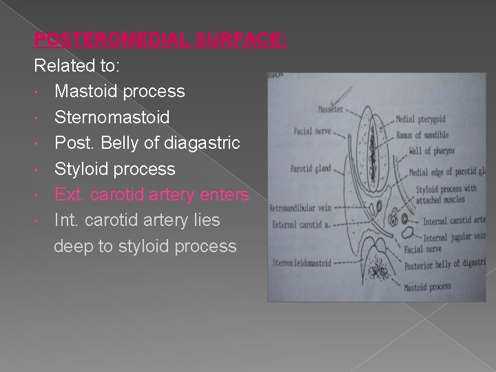 Parotid region It is a fascial lined space