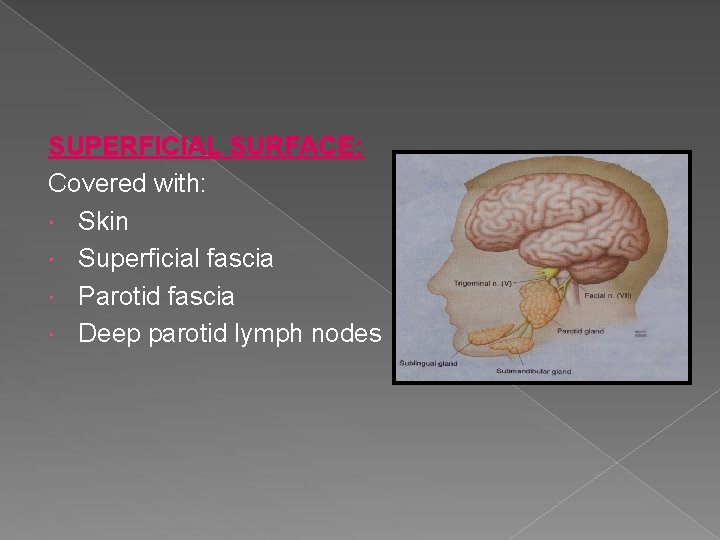 Parotid region It is a fascial lined space
