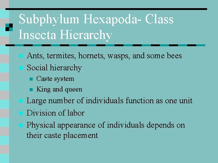 Phylum Arthropoda Phylum Arthropoda Facts n n Arthropods