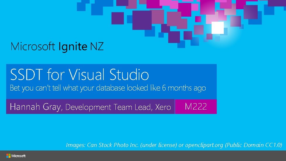 SSDT for Visual Studio Bet you cant tell