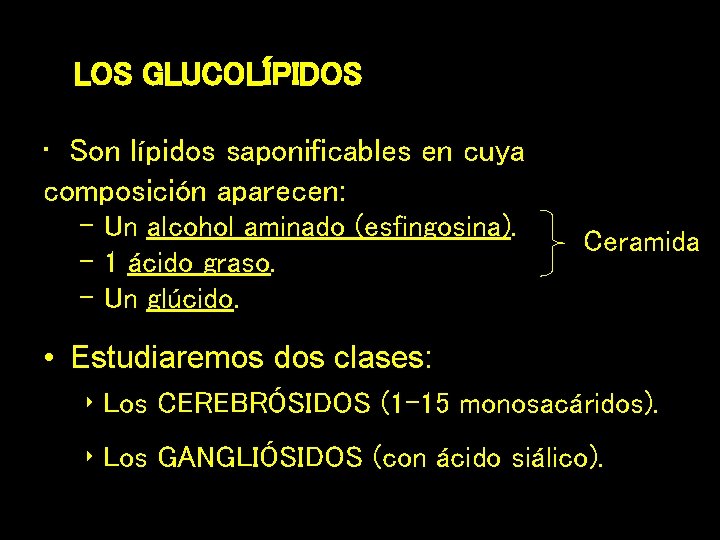 TEMA 3 NDICE 1 Caractersticas generales 2 Funciones