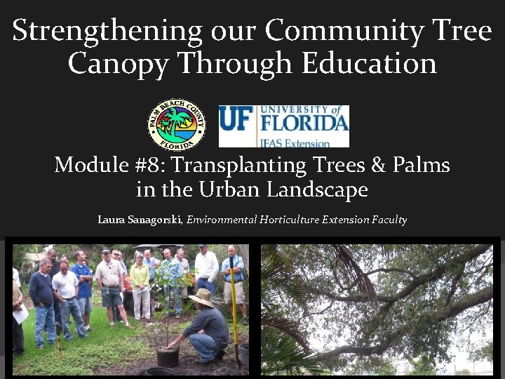 Strengthening our Community Tree Canopy Through Education Module