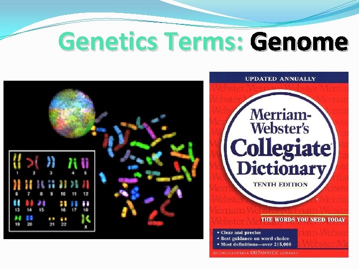 Systems in Genetic Medicine Health Disease and Treatment