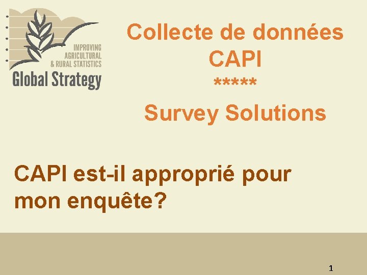 Collecte de donnes CAPI Survey Solutions CAPI estil