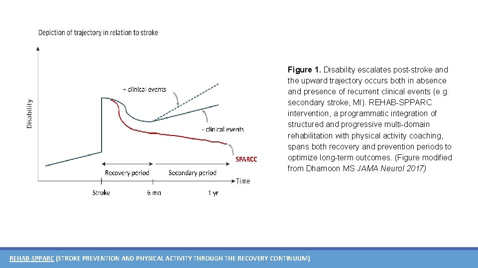 Rehabilitation to Optimize Stroke Prevention and Physical Activity