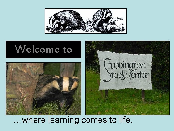 Welcome to where learning comes to life Independence