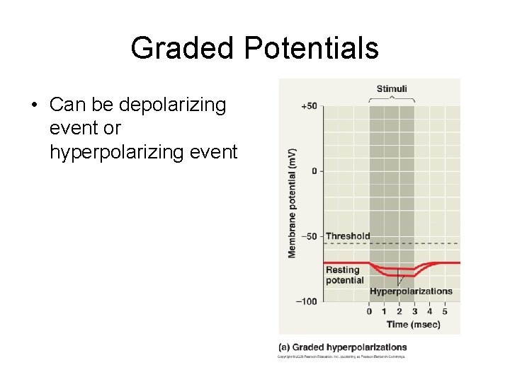 Electrical Signals 1 BIOL 1407 Electrical Signals Changes