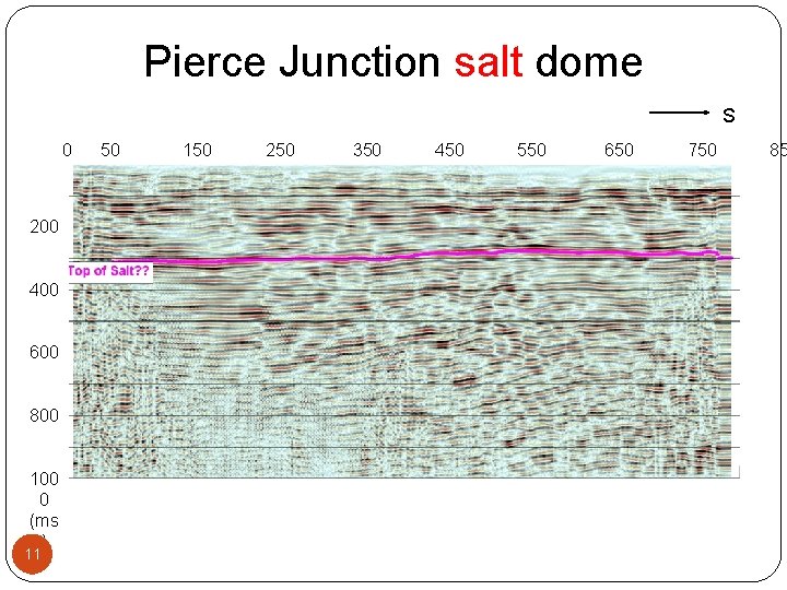 Whats underneath Houston Faults salt sediments Li Chang
