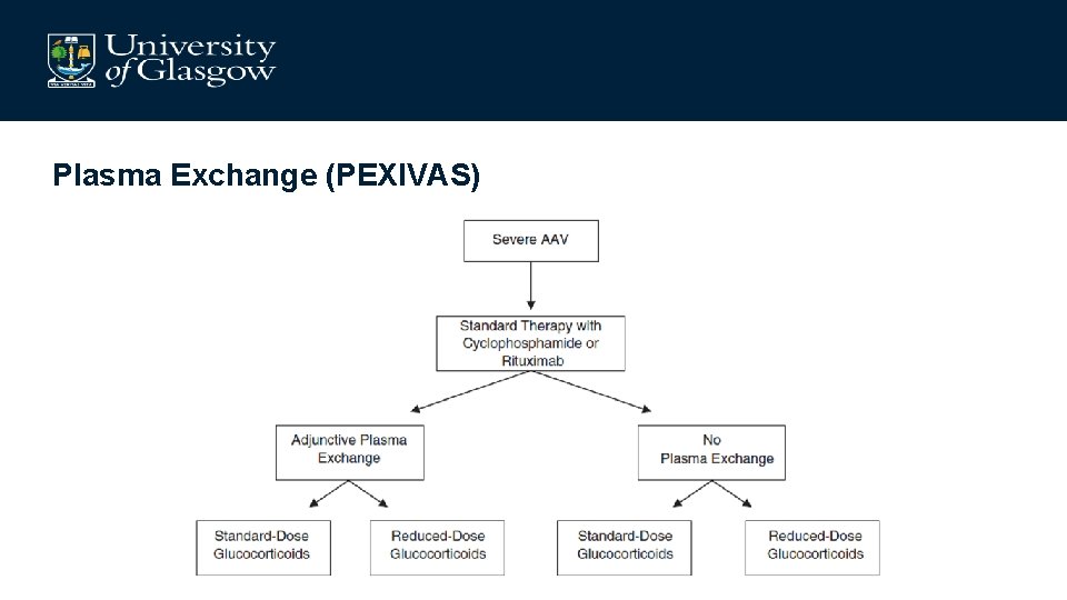 Unmet Need and Challenges in Vasculitis Scottish Systemic