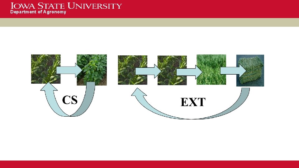Department of Agronomy Crop Rotation Diversity to Improve