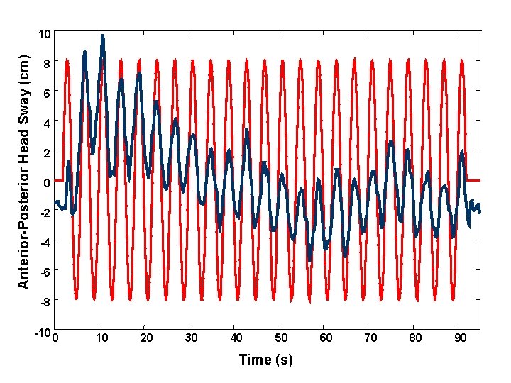 Vestibular Rehabilitation using a Wide FOV Virtual Environment