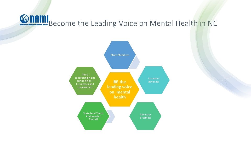 NAMI North Carolina 2020 2024 Strategic Plan June