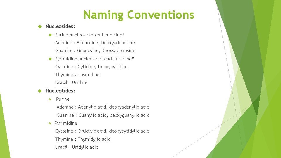 HISTORY OF DISCOVERY v In 1906 Albrecht Kossel