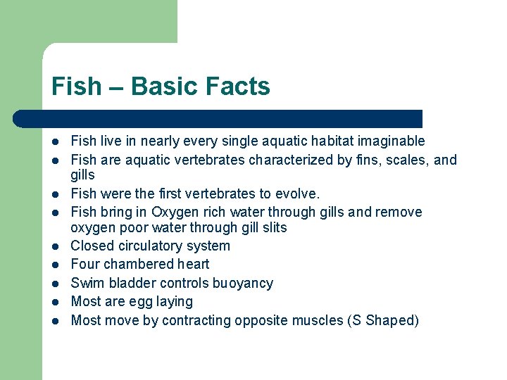 Animal Kingdom Vertebrates Biology 1 What is a