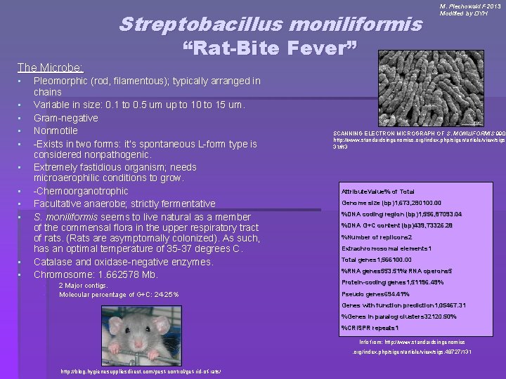 Streptobacillus moniliformis The Microbe RatBite Fever Pleomorphic rod