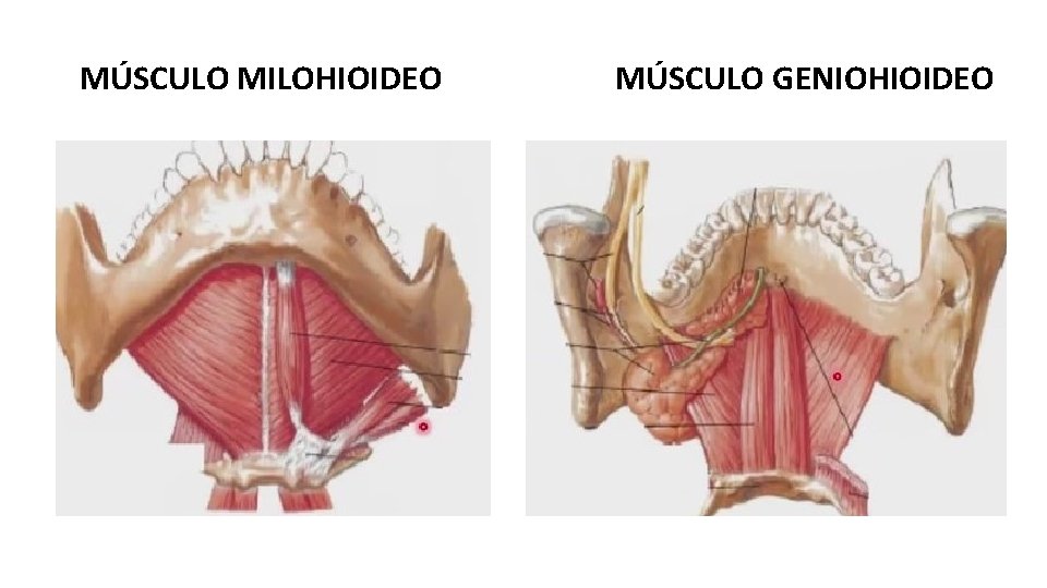 Repblica Bolivariana de Venezuela Universidad Nacional Experimental ...