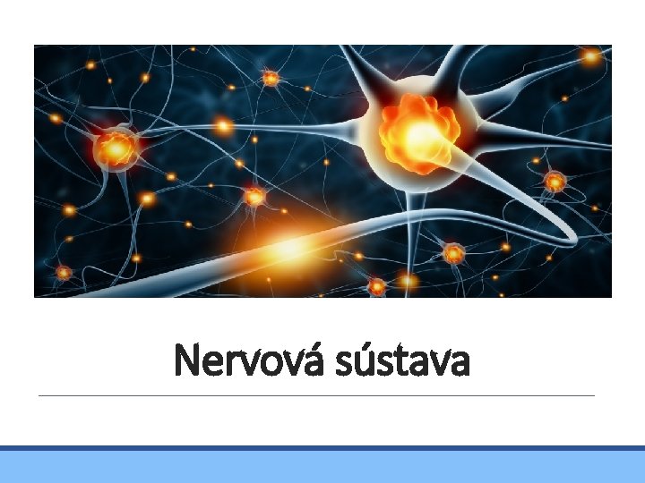 Nervov sstava Zabezpeuje prijmanie prenos spracovanie podnetov z