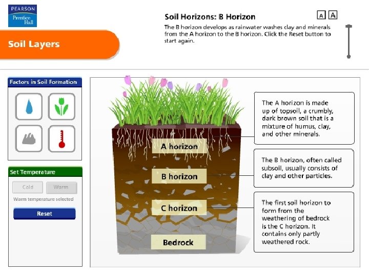 Soils Soil Soil links the rock cycle to