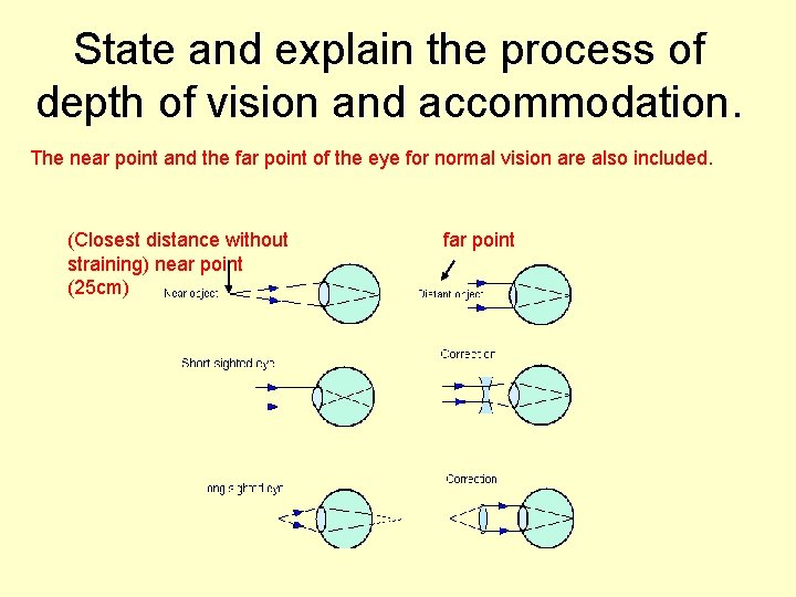 The eye and sight Describe the basic structure
