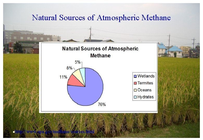 Greenhouse Gases Emissions and Mitigation from Rice Production