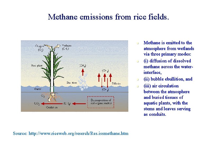 Greenhouse Gases Emissions and Mitigation from Rice Production