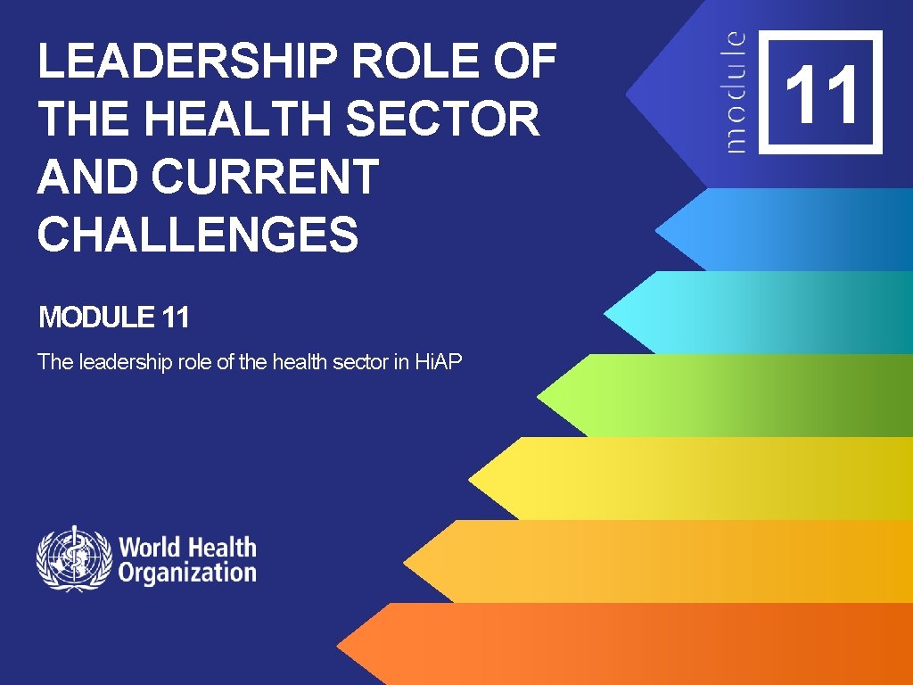 LEADERSHIP ROLE OF THE HEALTH SECTOR AND CURRENT