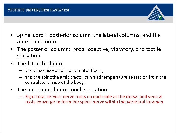 NECK and UPPER EXTREMITY PAIN aSupraspinous ligament b