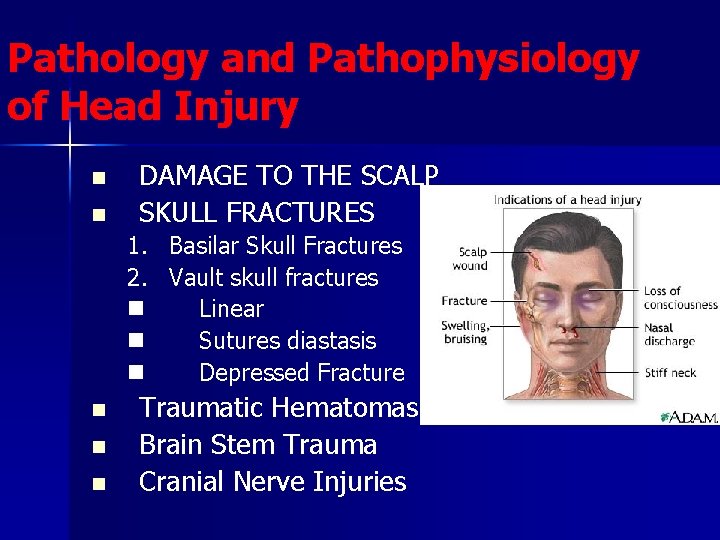 Evaluation management of head injured patient Classification of