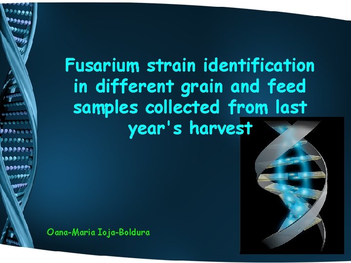 Fusarium strain identification in different grain and feed
