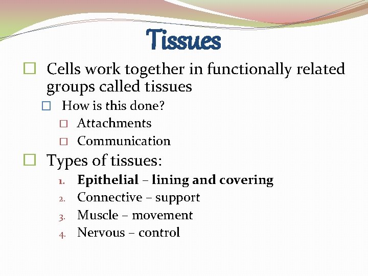 Tissues Cells work together in functionally related groups