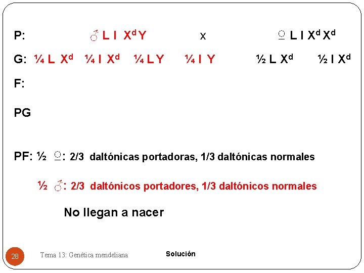 Gentica mendeliana 2 Tema 13 Gentica mendeliana Retrocruzamiento