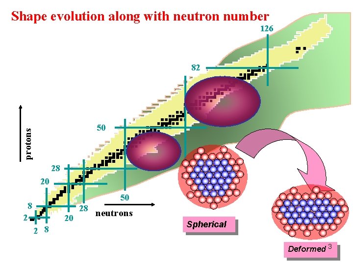Shapes of atomic nuclei Oblate Prolate Quadrupole deformation