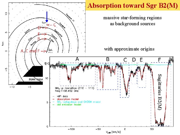 Ubiquitous Argonium Ar H in the Interstellar Medium