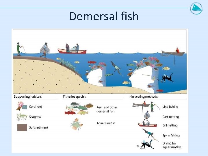 Projected changes to coastal fisheries Based on Outline