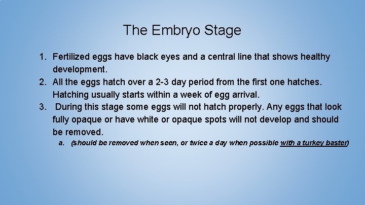 Trout Stages The Embryo Stage 1 Fertilized eggs