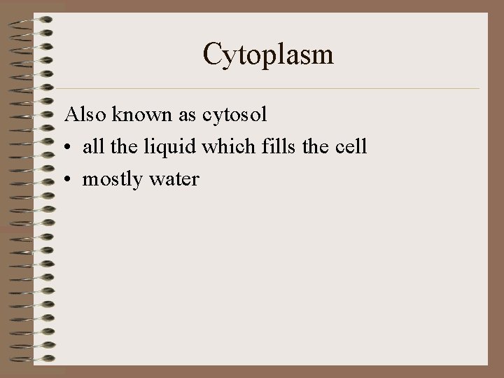 Cells and Cell Organelles History Anton Van Leeuwenhoek