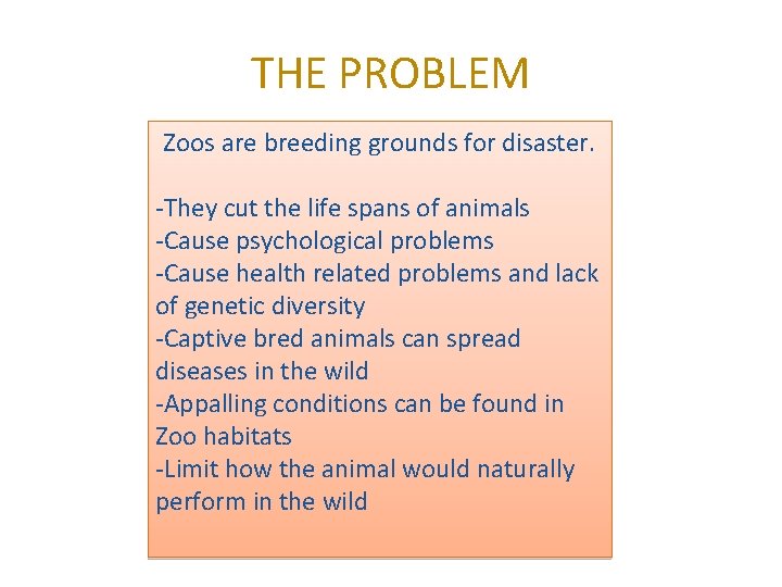 Animals Behind Bars The Truth About Zoos and