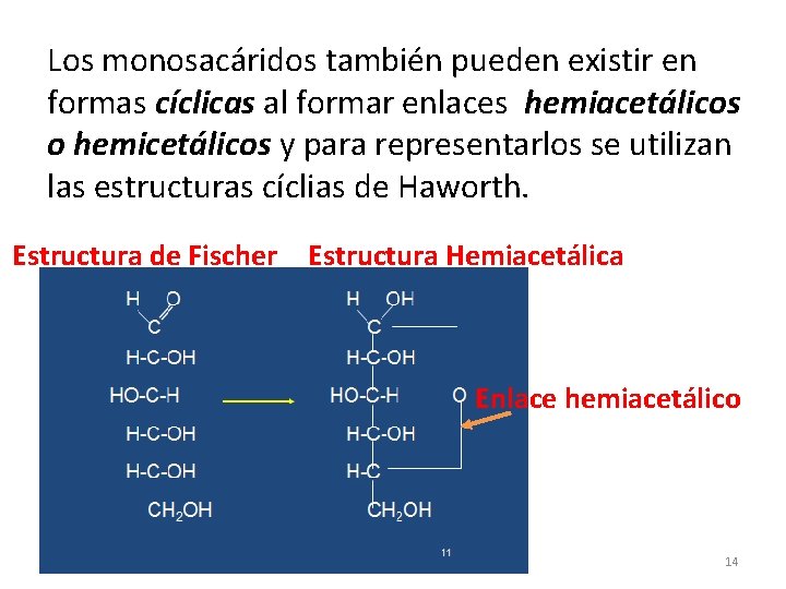 BIOMOLECULAS Son las principales molculas de los seres