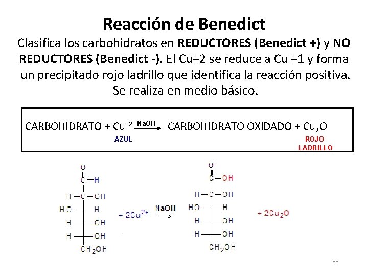 BIOMOLECULAS Son las principales molculas de los seres