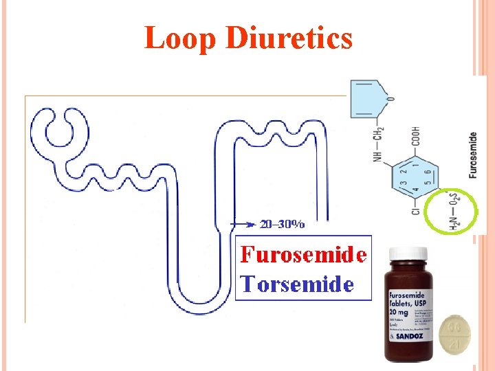 DIURETICS Prof Hanan Hagar Pharmacology Unit CLASSIFICATION OF