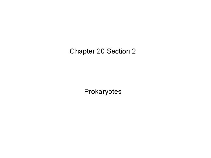 Lesson Overview Viruses Chapter 20 Section 2 Prokaryotes