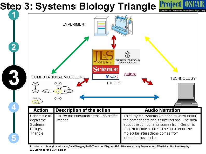 Systems Biology The examination of a biological entity