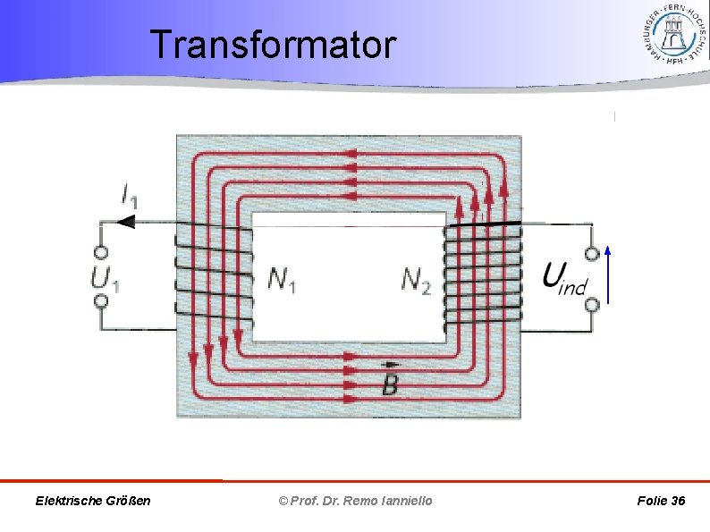 Felder Elektrische Gren Prof Dr Remo Ianniello Ziele
