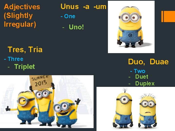 Pensum A Nilus fluvius est Nilus et Rhenus