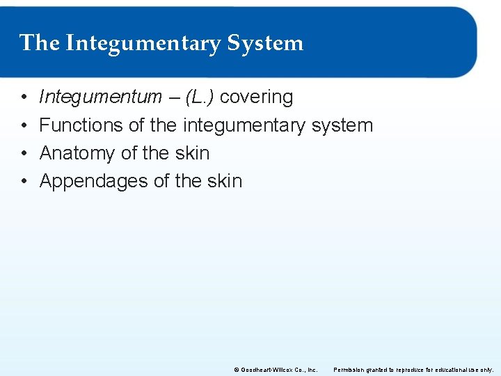 3 Membranes and the Integumentary System Lesson 3